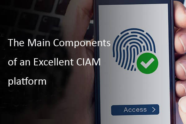 The Main Components of an Excellent CIAM platform | Dreamstel Technologies
